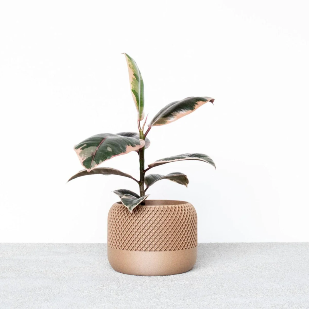 Apple Shape Decorative Plant Pot Buy Online KSA – Nora Gardens