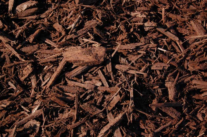 Mulch Dark Brown Small – Nora Gardens